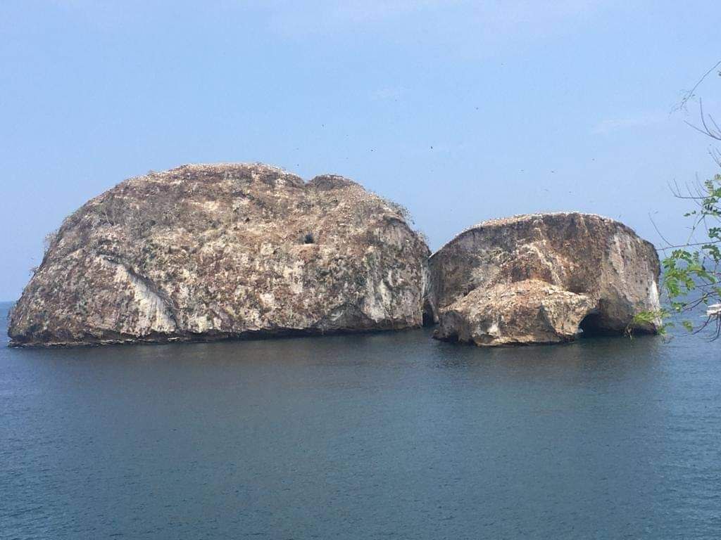 MISMALOYA, UNA PLAYA RODEADA DE SELVA - Jalisco Noticias MISMALOYA, UNA PLAYA RODEADA DE SELVA - Jalisco Noticias