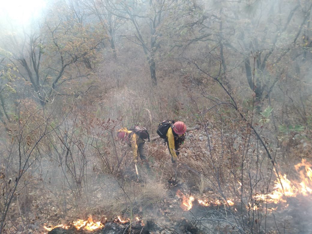 POR INCENDIO FORESTAL ACTIVAN ALERTA ATMOSFÉRICA EN CUATRO MUNICIPIOS ... POR INCENDIO FORESTAL ACTIVAN ALERTA ATMOSFÉRICA EN CUATRO MUNICIPIOS ...